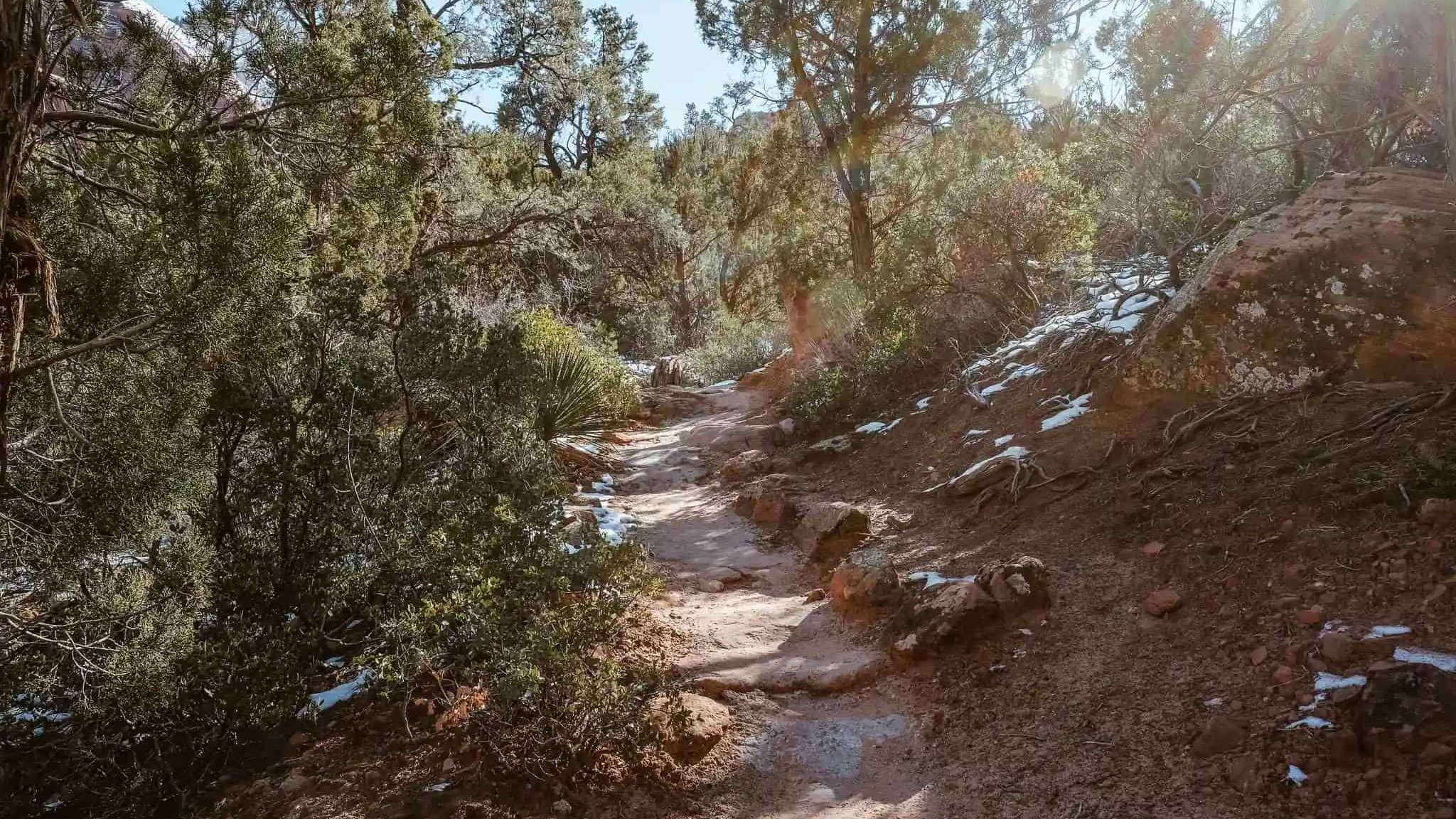 Winter Hikes: Sand Bench Trail in Zion National Park - Blisss Magazine