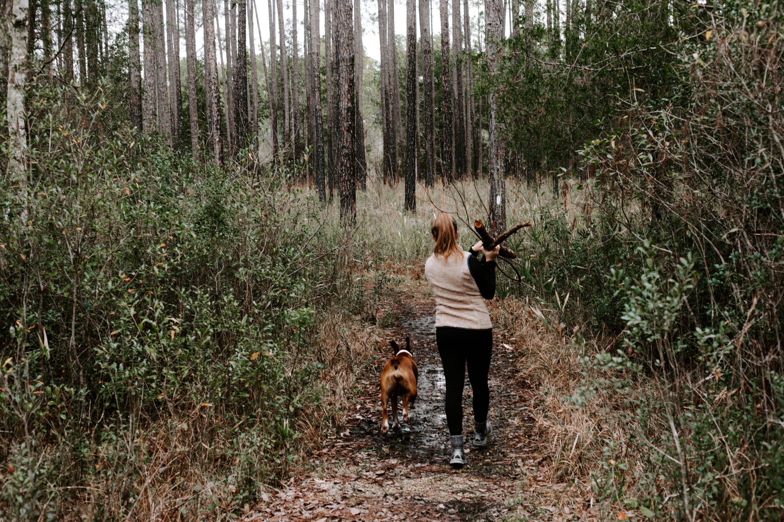 Ensuring Animal Safety: A Guide to Responsible Camping in the Great ...